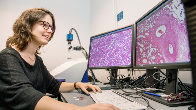 Reproductive Immunology | LUMC