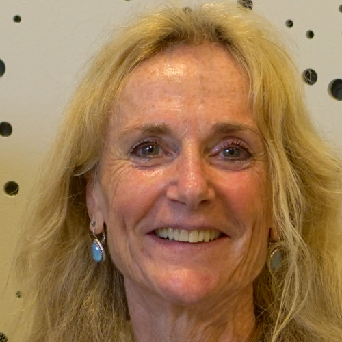 Prof. Dr. A. (Annemieke) Geluk | LUMC