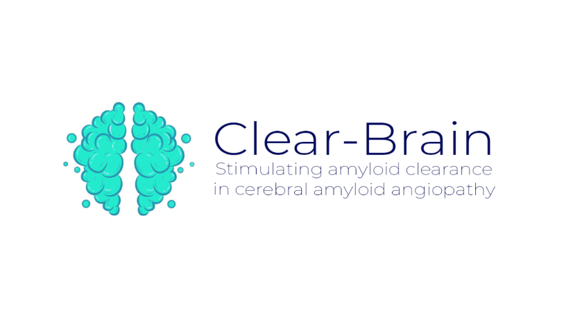 Clear-Brain | LUMC
