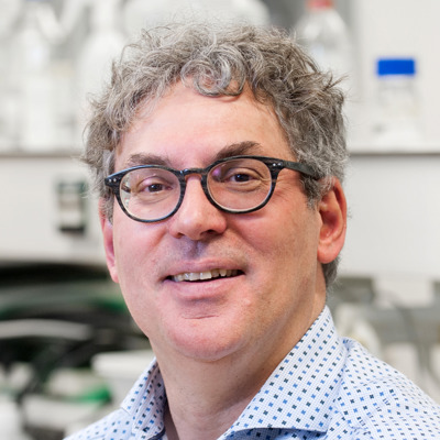 Prof. dr. A.A.F. (Twan) de Vries | LUMC