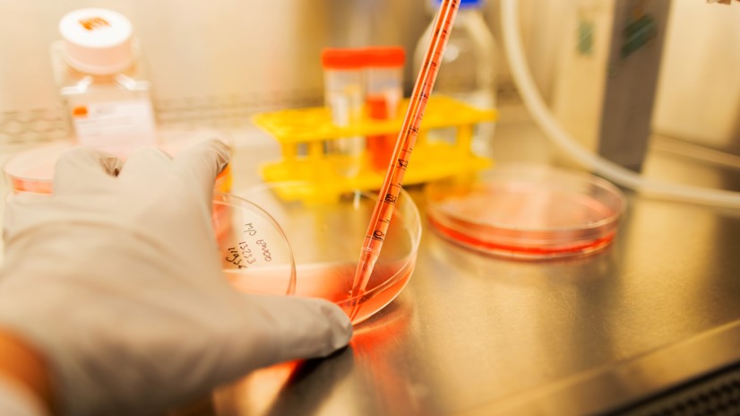 Non-clinical development | LUMC